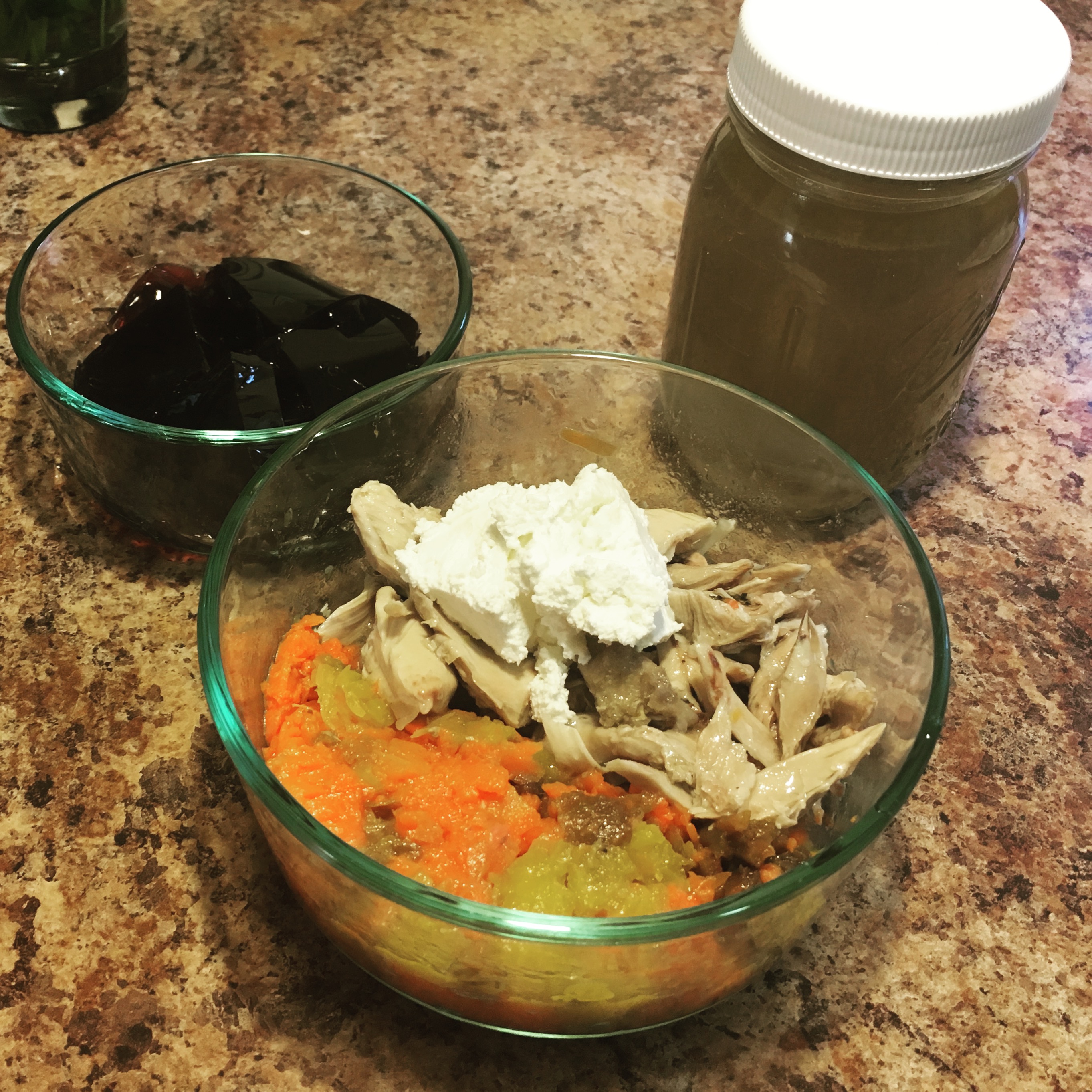 SCD — Intro Phase – GI Nutrition